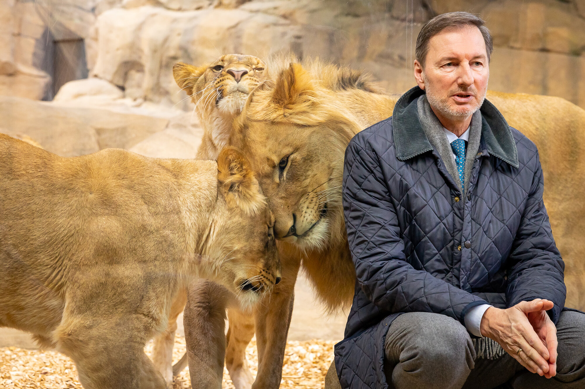 New predator experience opens at Zoo Berlin – Zoo Berlin