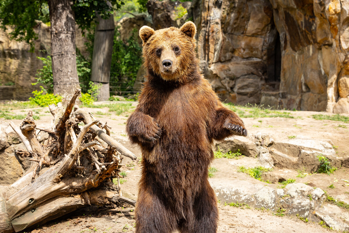 Bye bye, 2024! – Zoo Berlin