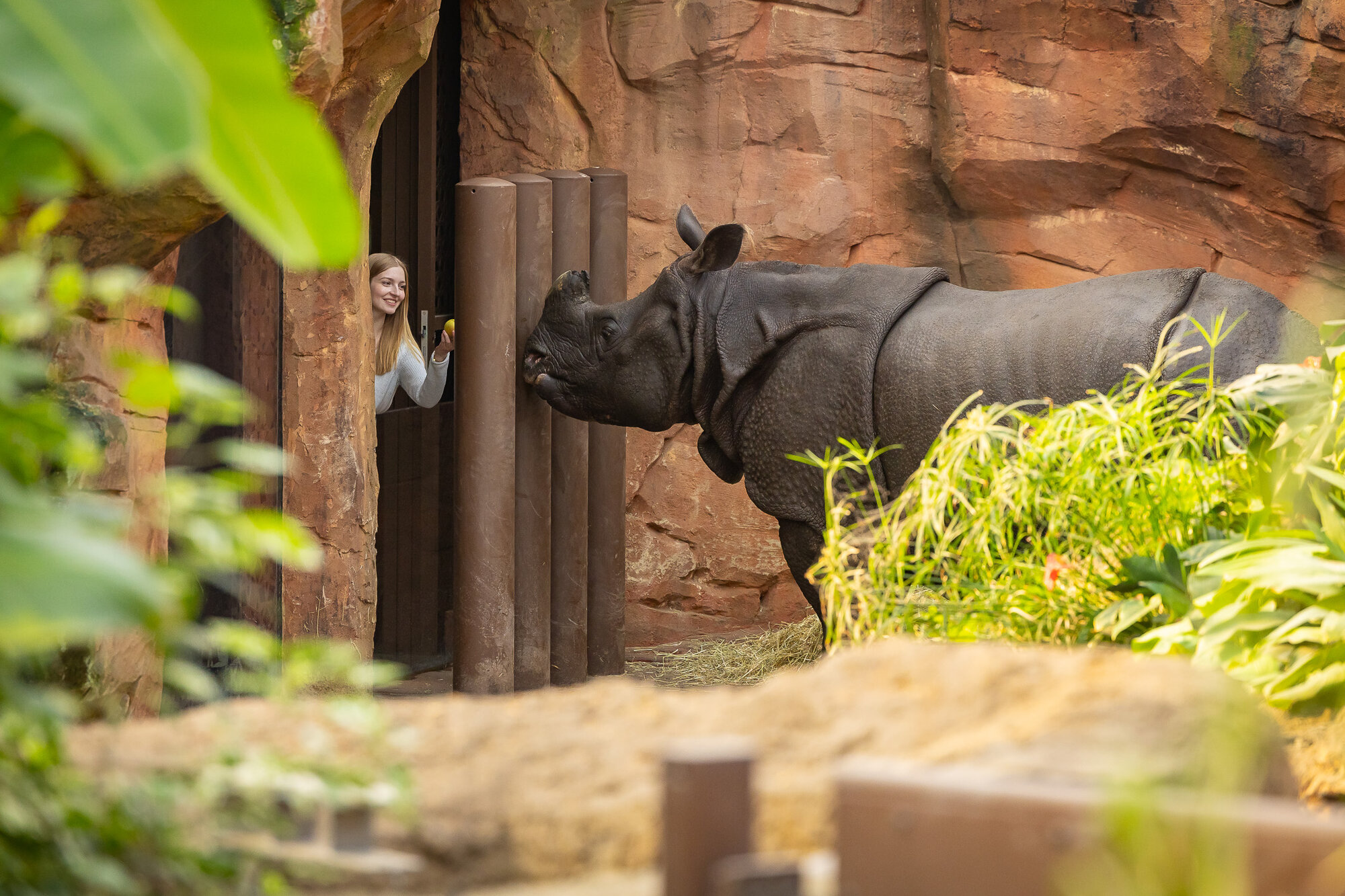 Neue tierische Highlights zum Saisonstart – Zoo Berlin