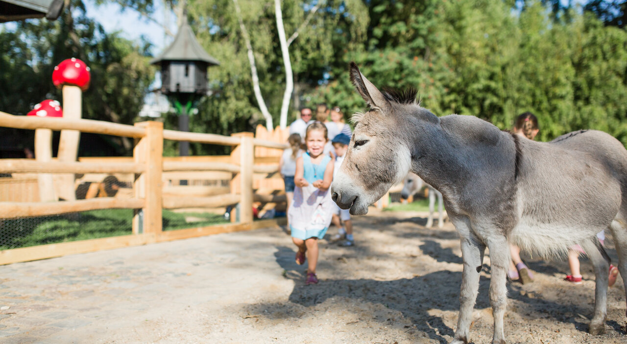 Petting zoo – Zoo Berlin